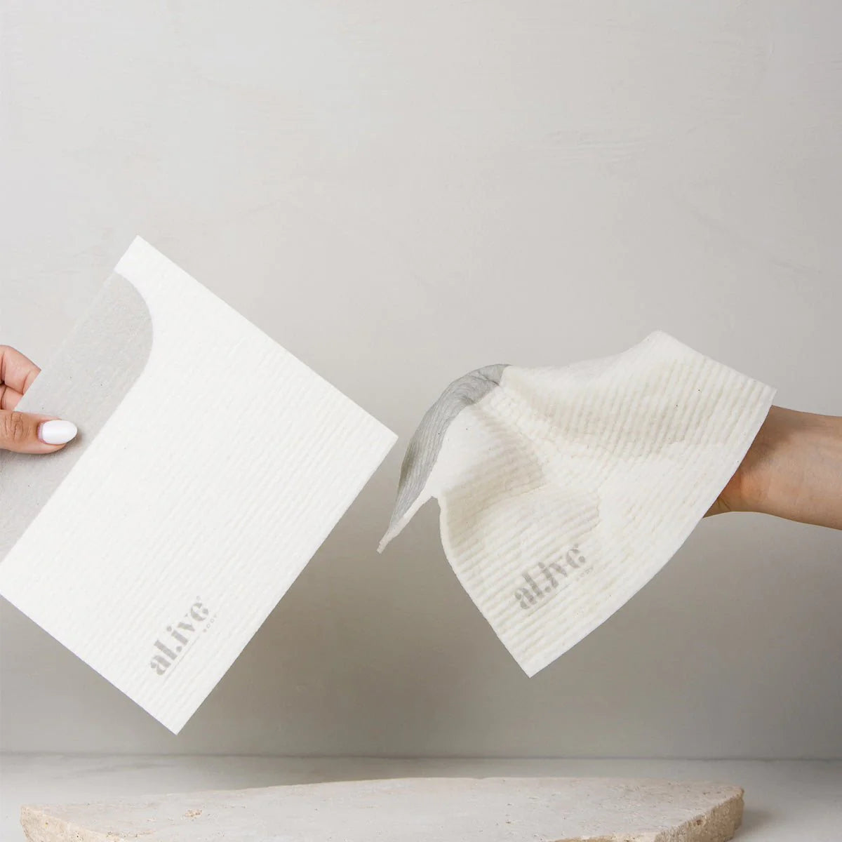 Biodegradable Dish Cloth - Pack Of 2 – The Cozy Corner
